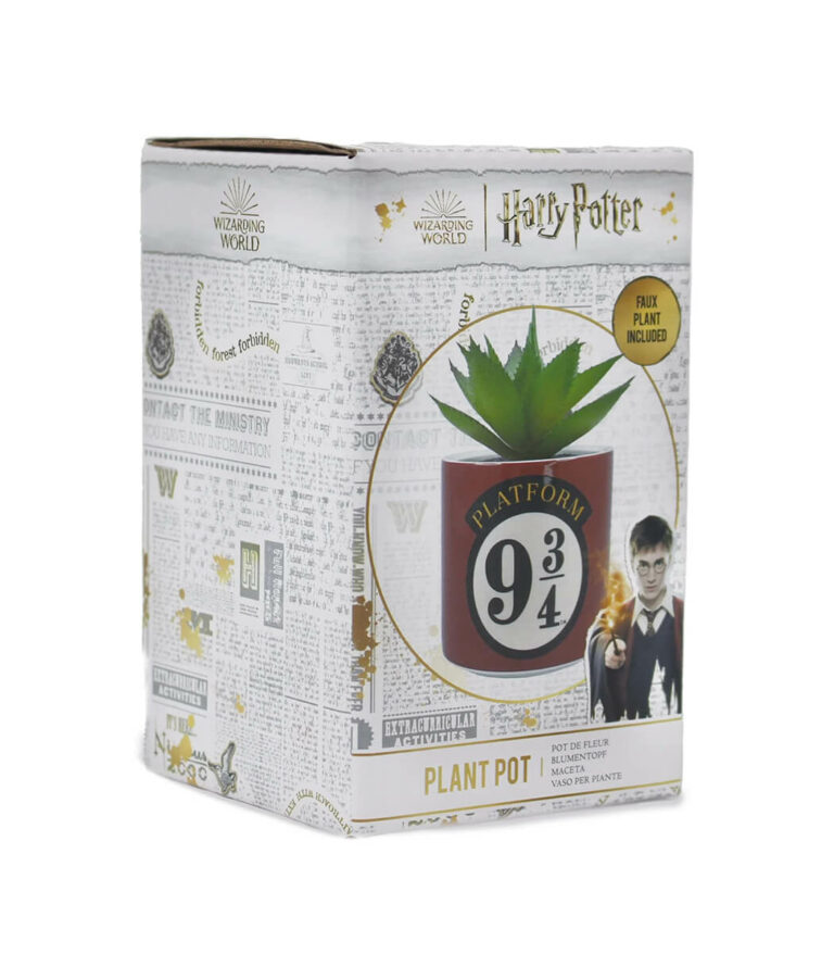 Shop Wholesale Harry Potter Plant Pot - Hogwarts Express – Oracle ...